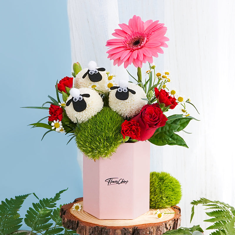 The Gerbera Flower: Meaning, Colours & Symbolism