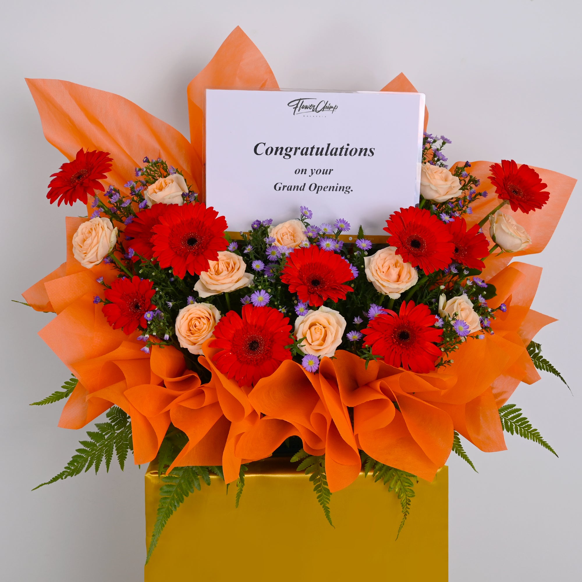 The Gerbera Flower: Meaning, Colours & Symbolism