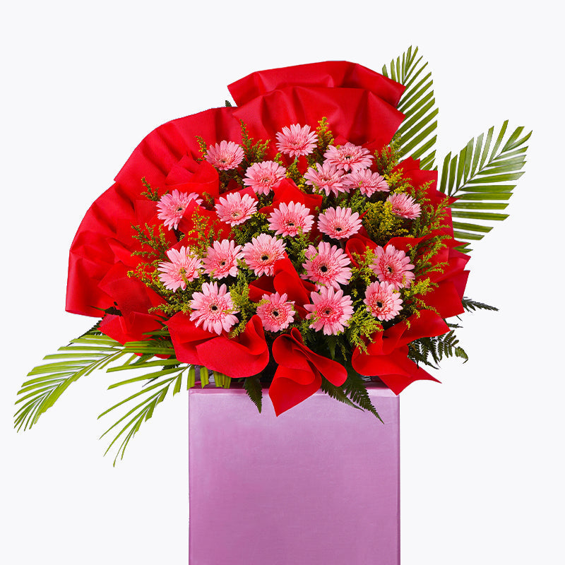 The Gerbera Flower: Meaning, Colours & Symbolism