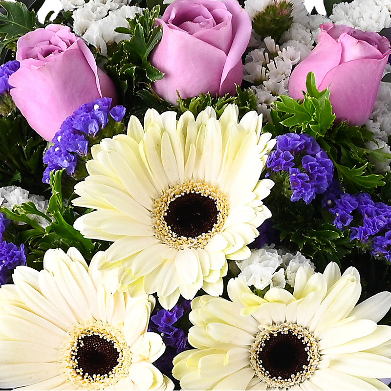 Baby Noah Gift Set - Same Day Nationwide Delivery